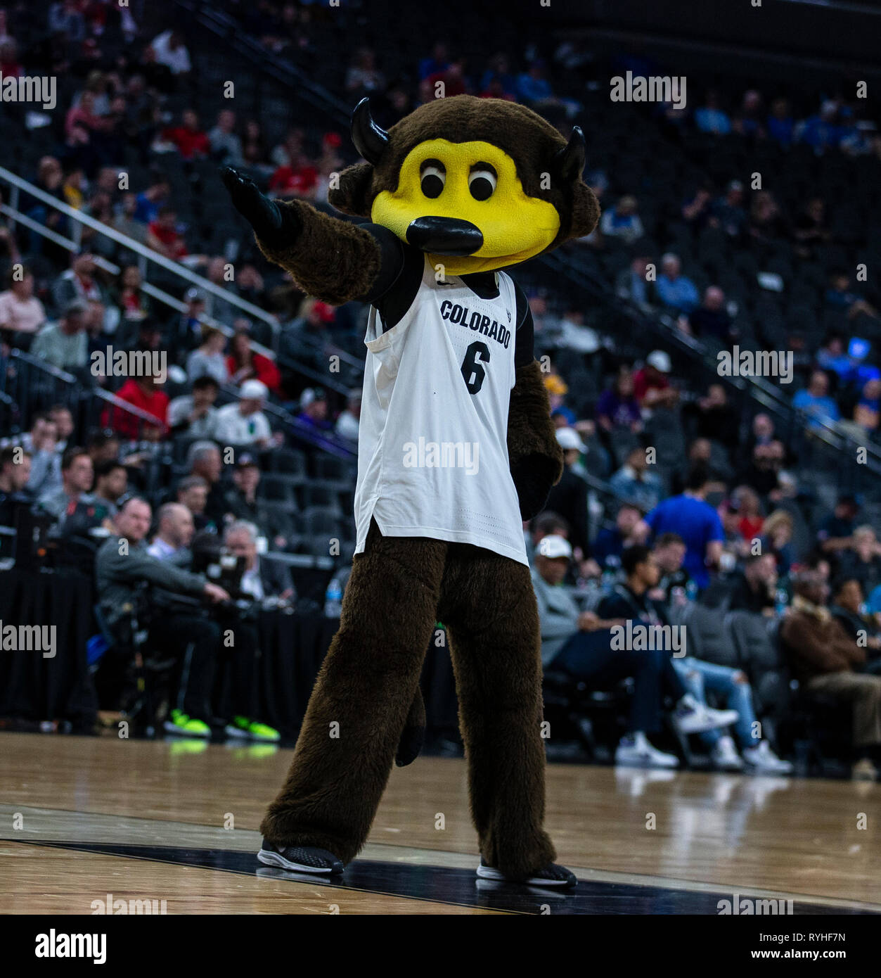 Tournament mascot hi-res stock photography and images - Alamy