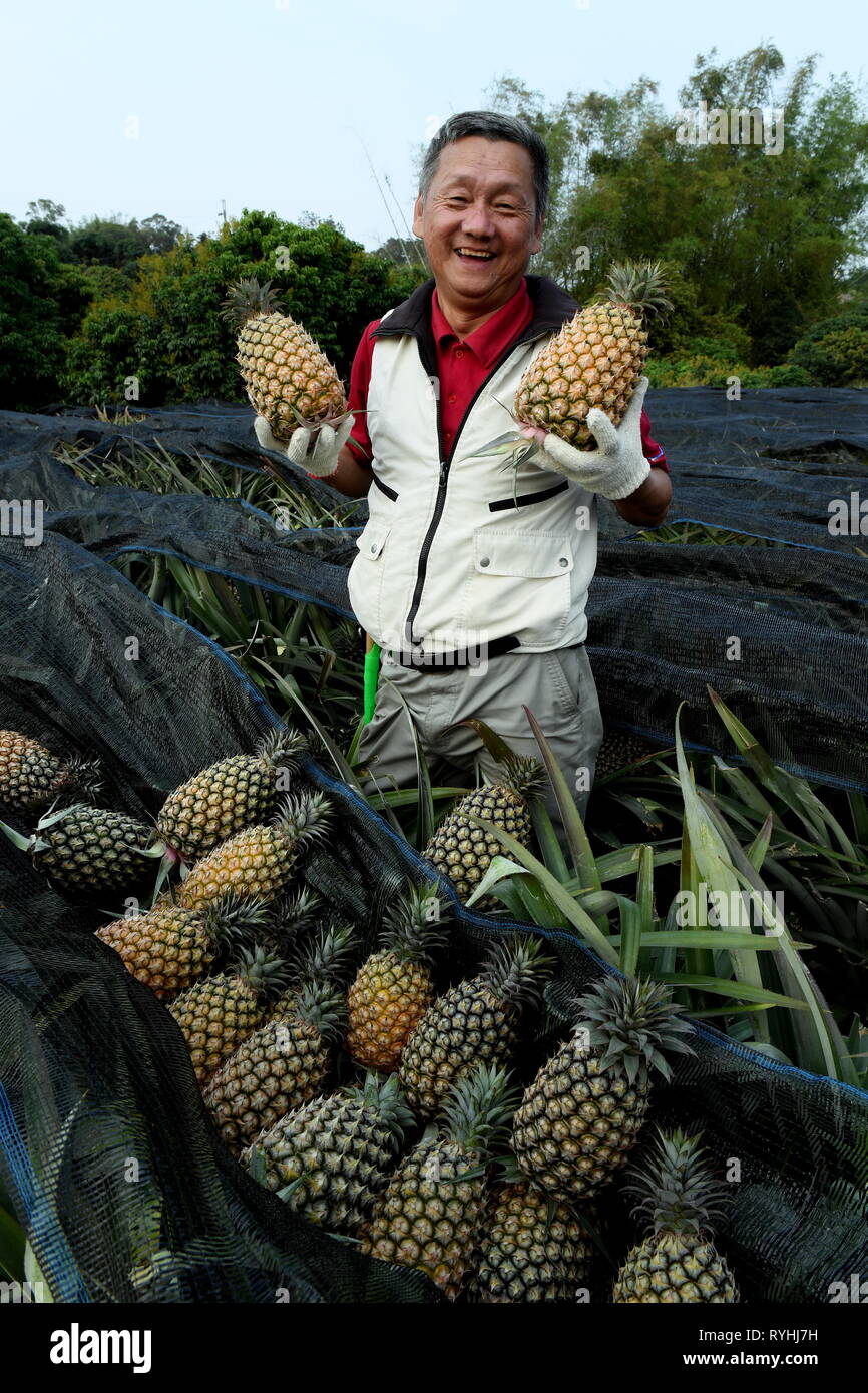 Dashu hi-res stock photography and images - Alamy