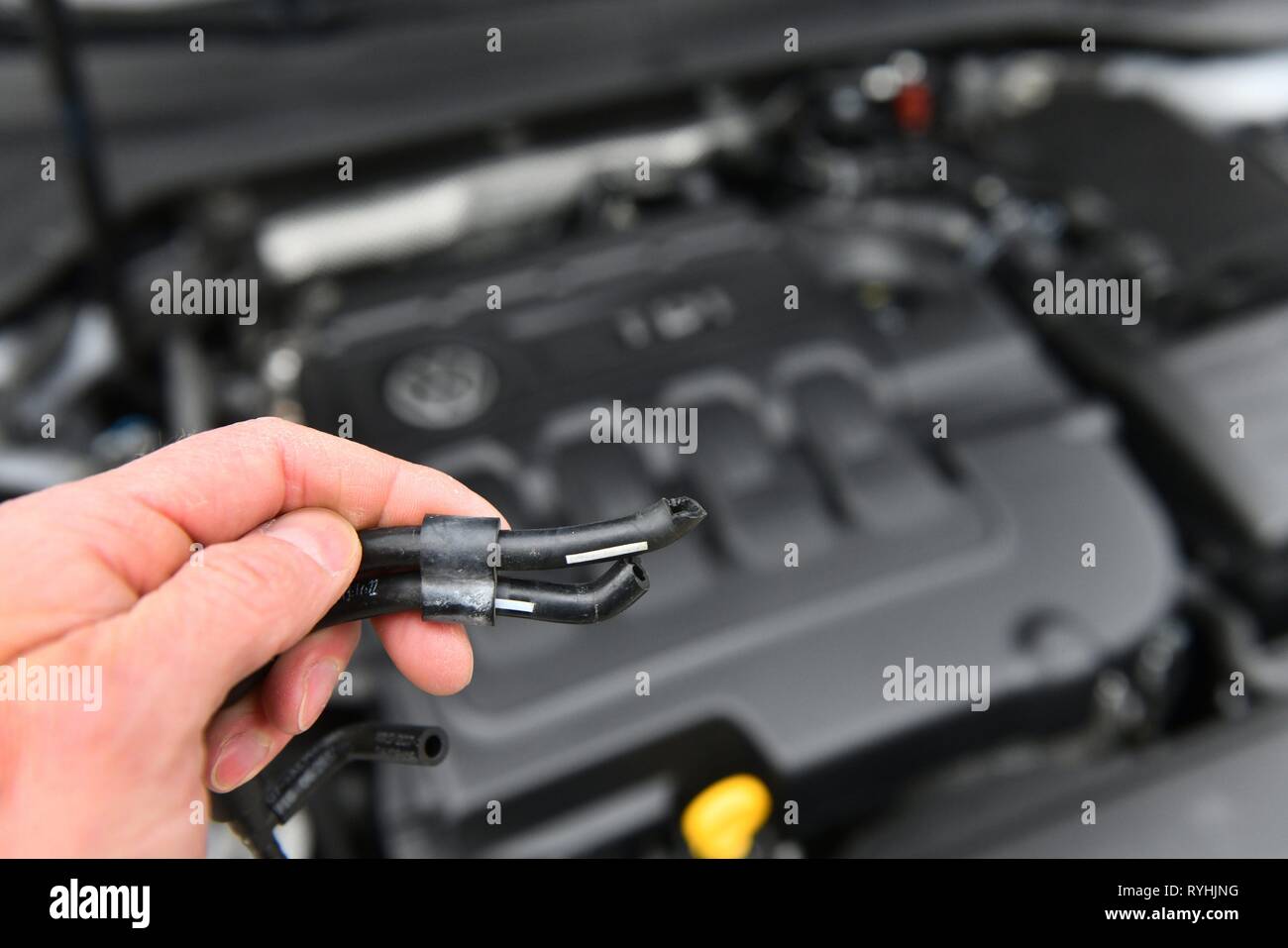 Marten damage hi-res stock photography and images - Alamy