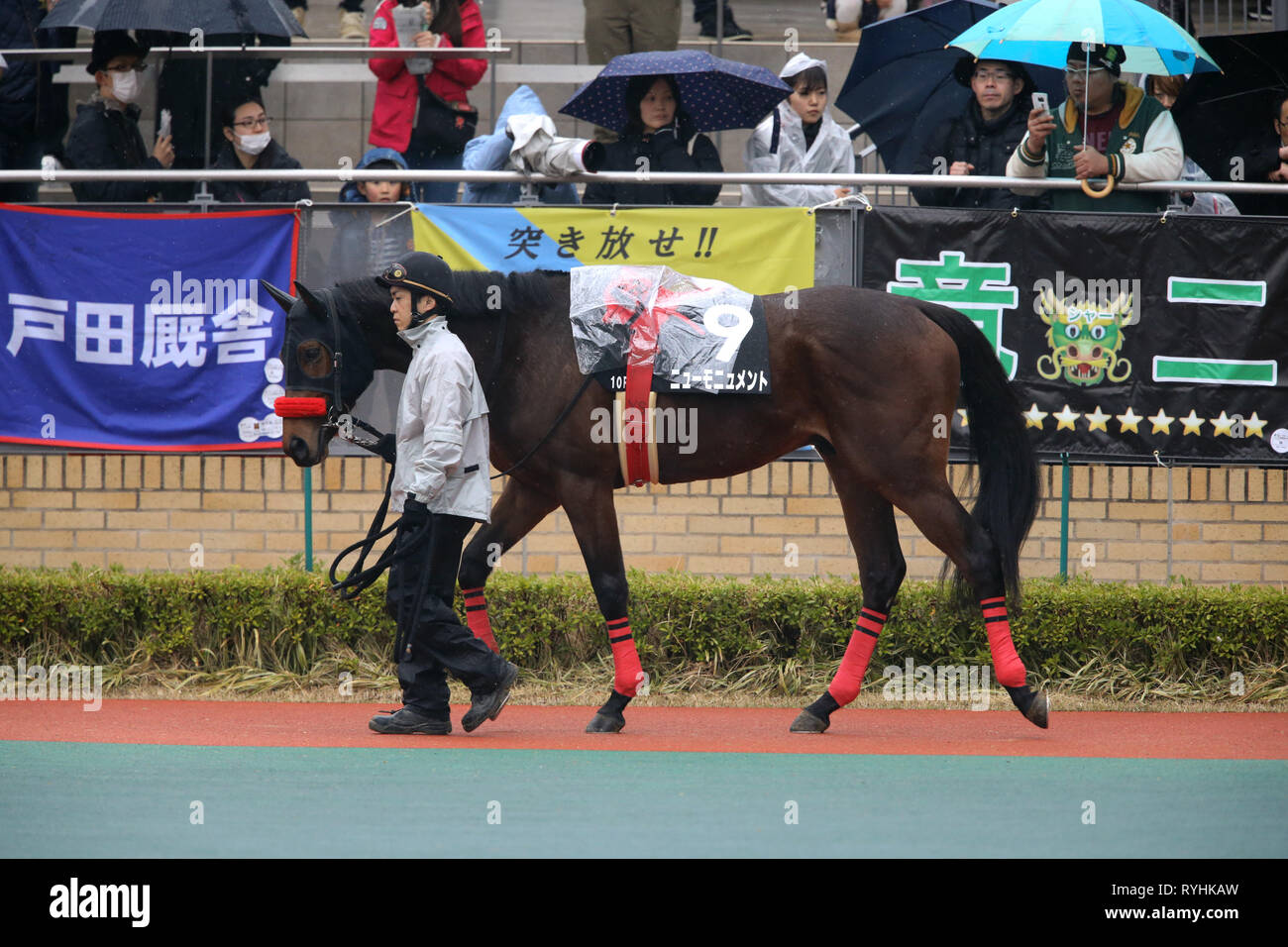 New Monument, MARCH 10, 2019 - Horse Racing : New Monument is led ...