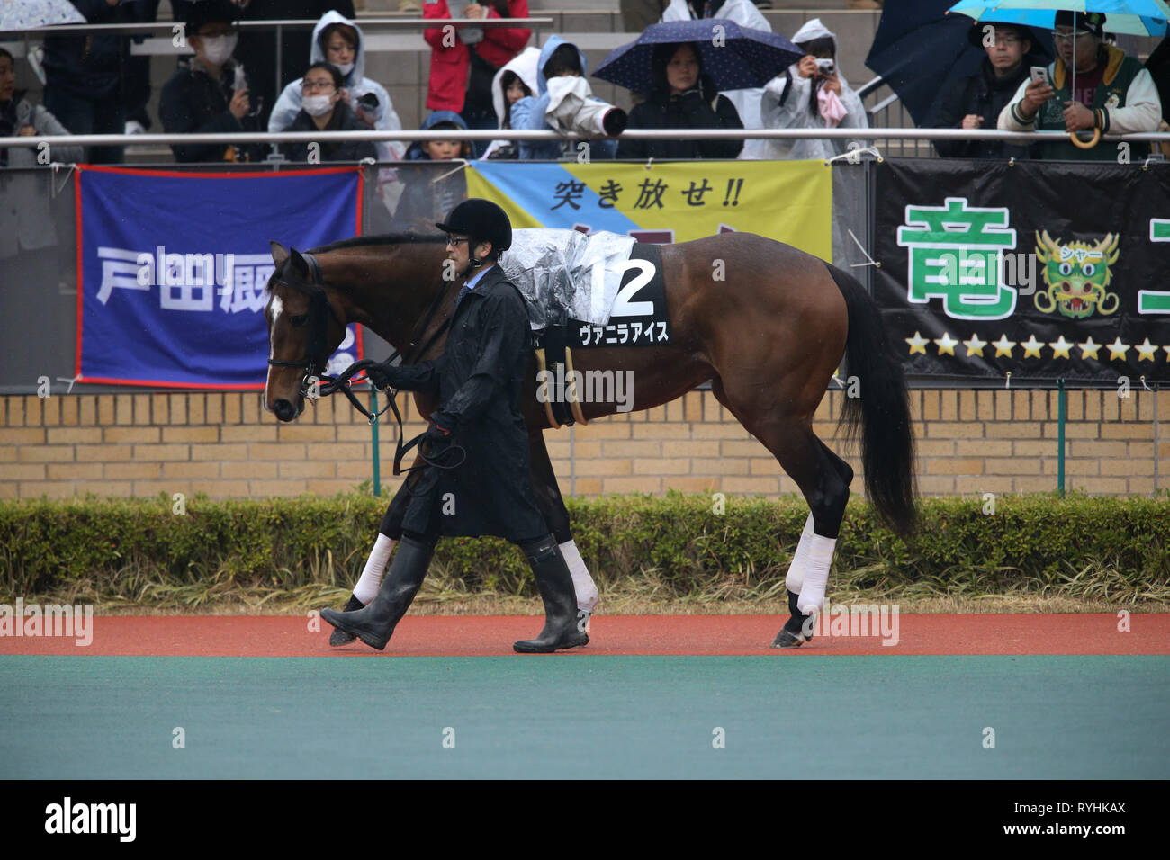 Vanilla Ice, MARCH 10, 2019 - Horse Racing : Vanilla Ice is led through ...