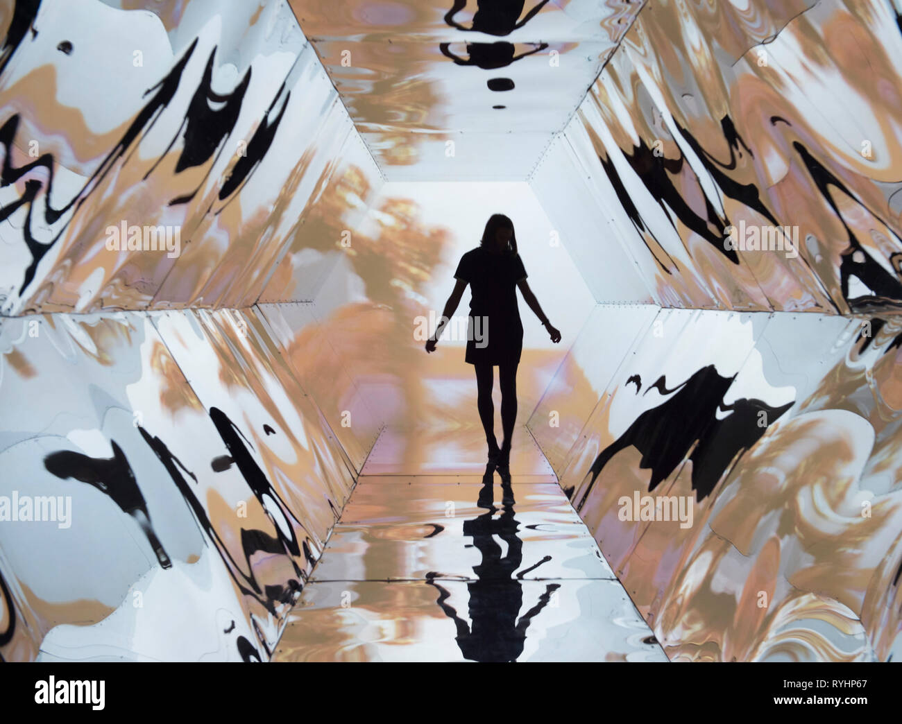 Hexagonal scale hi-res stock photography and images - Alamy