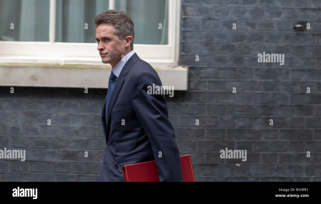 London, UK. 14th Mar 2019. Gavin Williamson, MP PC, Defence Secretary ...