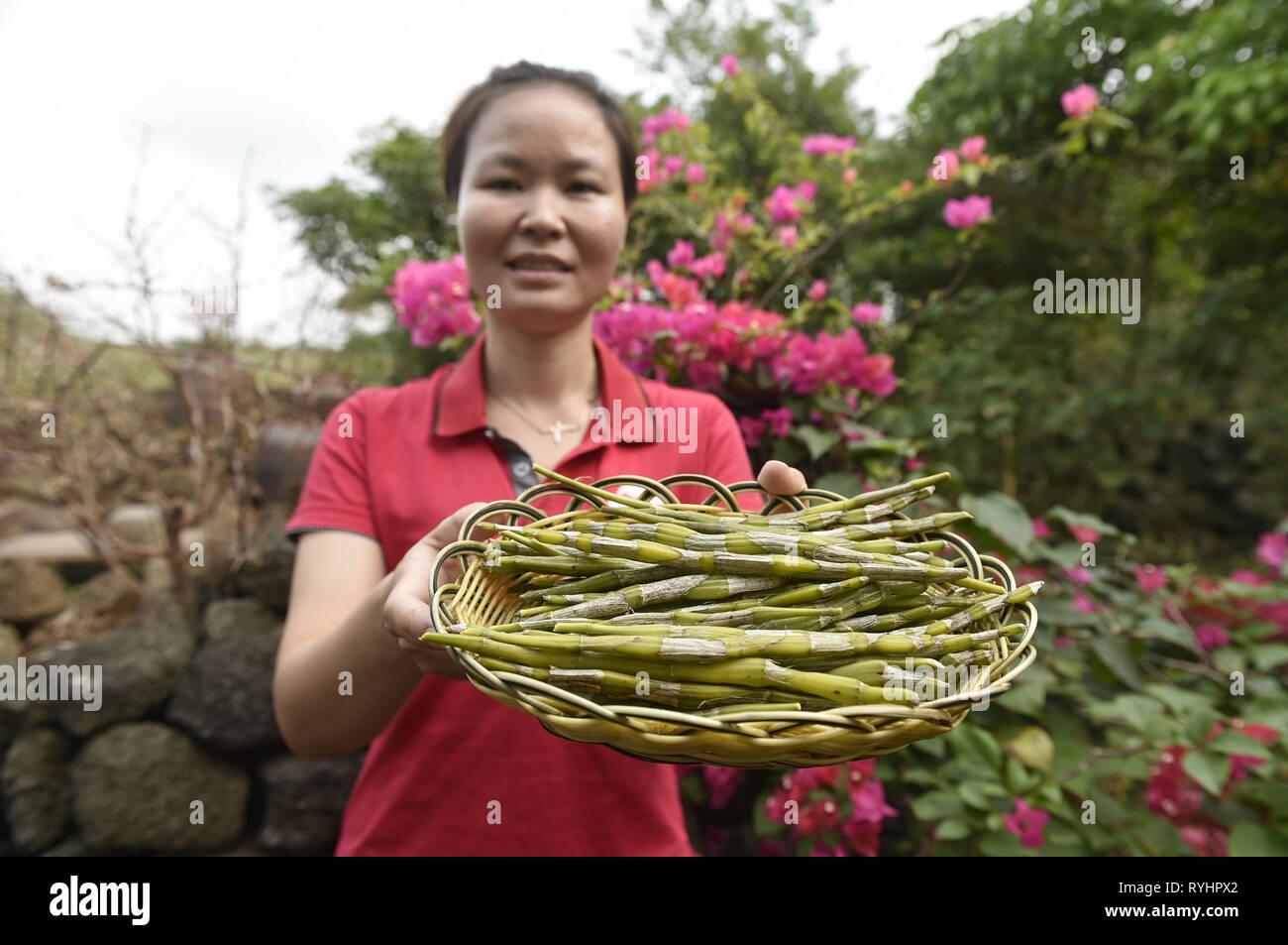 (190314) -- HAIKOU, March 14, 2019 (Xinhua) -- A woman displays fresh ...
