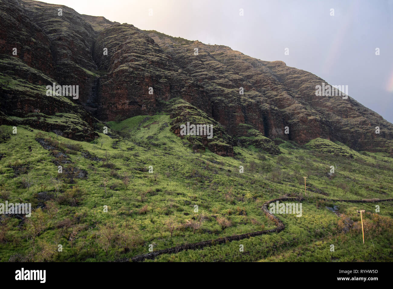 Waianae kai forest hi-res stock photography and images - Alamy