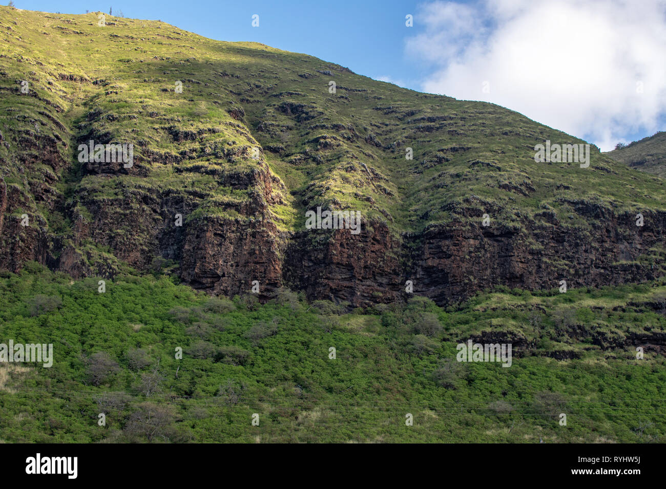 Hawaii Oahu Waianae Kai Forest Reserve Stock Photo - Alamy