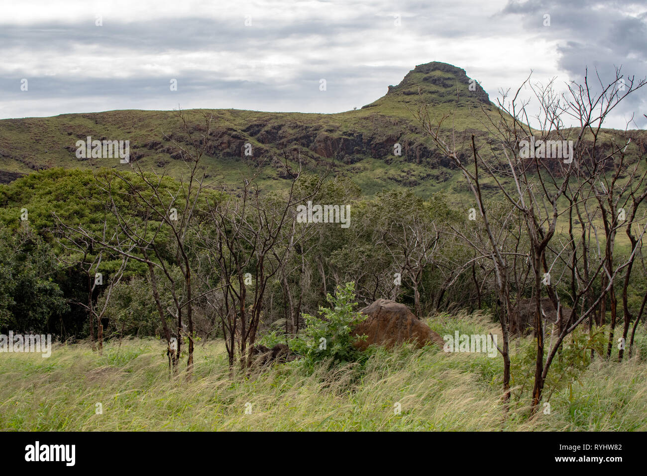 Hawaii Oahu Waianae Kai Forest Reserve Stock Photo - Alamy