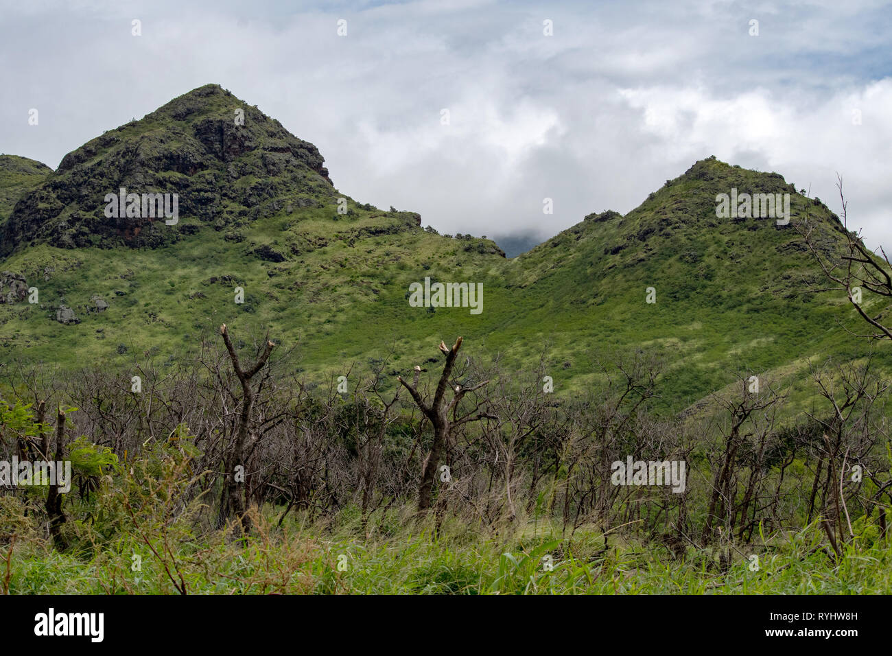 Hawaii Oahu Waianae Kai Forest Reserve Stock Photo - Alamy