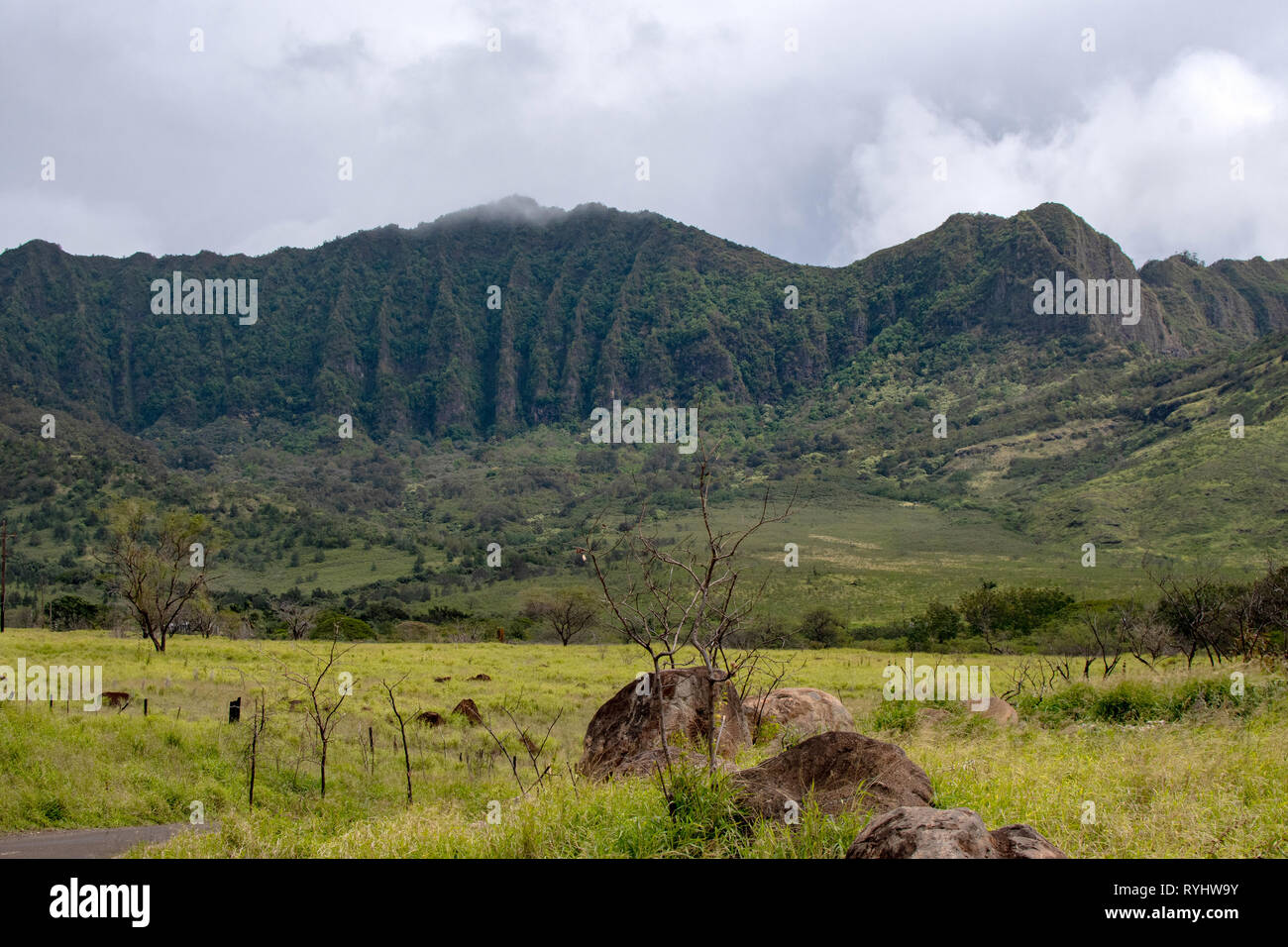 Hawaii Oahu Waianae Kai Forest Reserve Stock Photo - Alamy