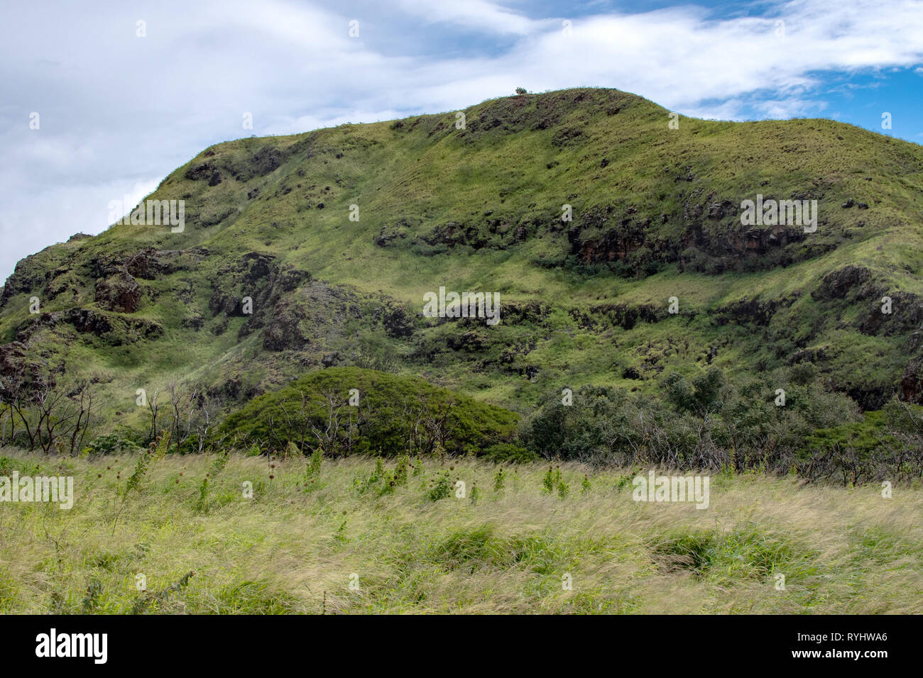 Hawaii Oahu Waianae Kai Forest Reserve Stock Photo - Alamy