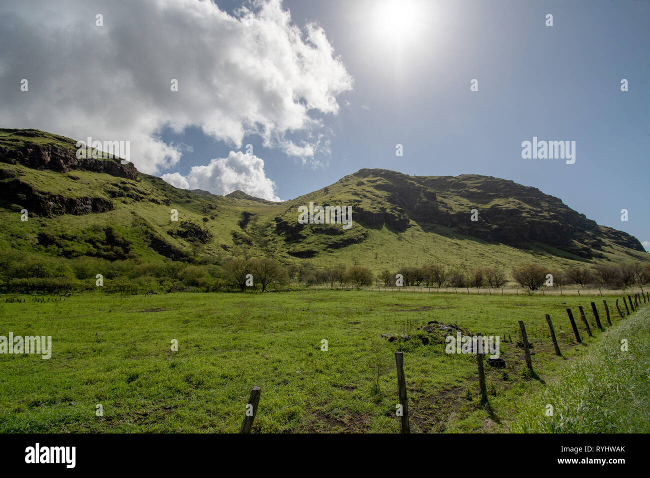 Hawaii Oahu Waianae Kai Forest Reserve Stock Photo - Alamy