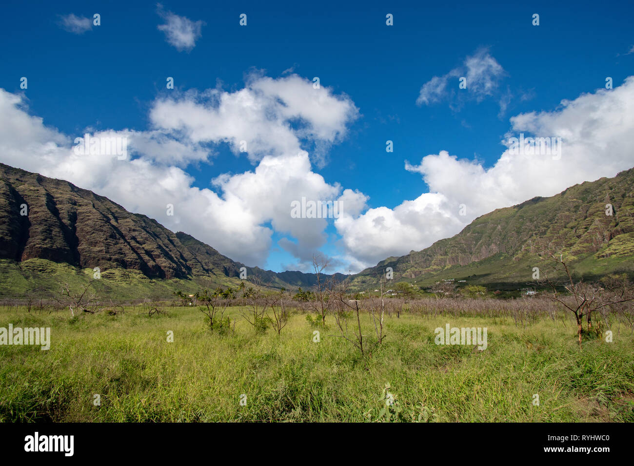 Hawaii Oahu Waianae Kai Forest Reserve Stock Photo - Alamy