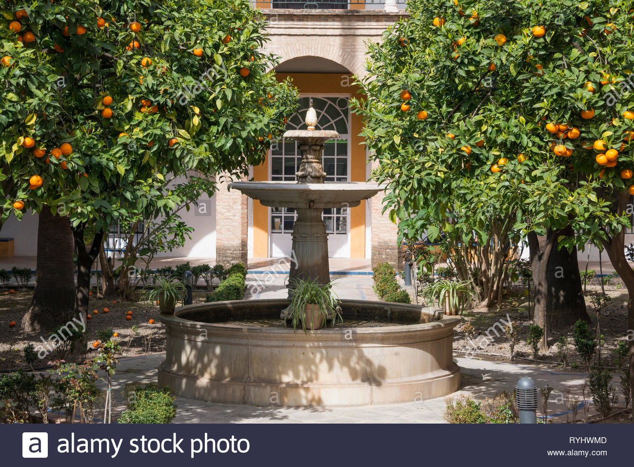 Sevilla Orange Stock Photos & Sevilla Orange Stock Images - Alamy