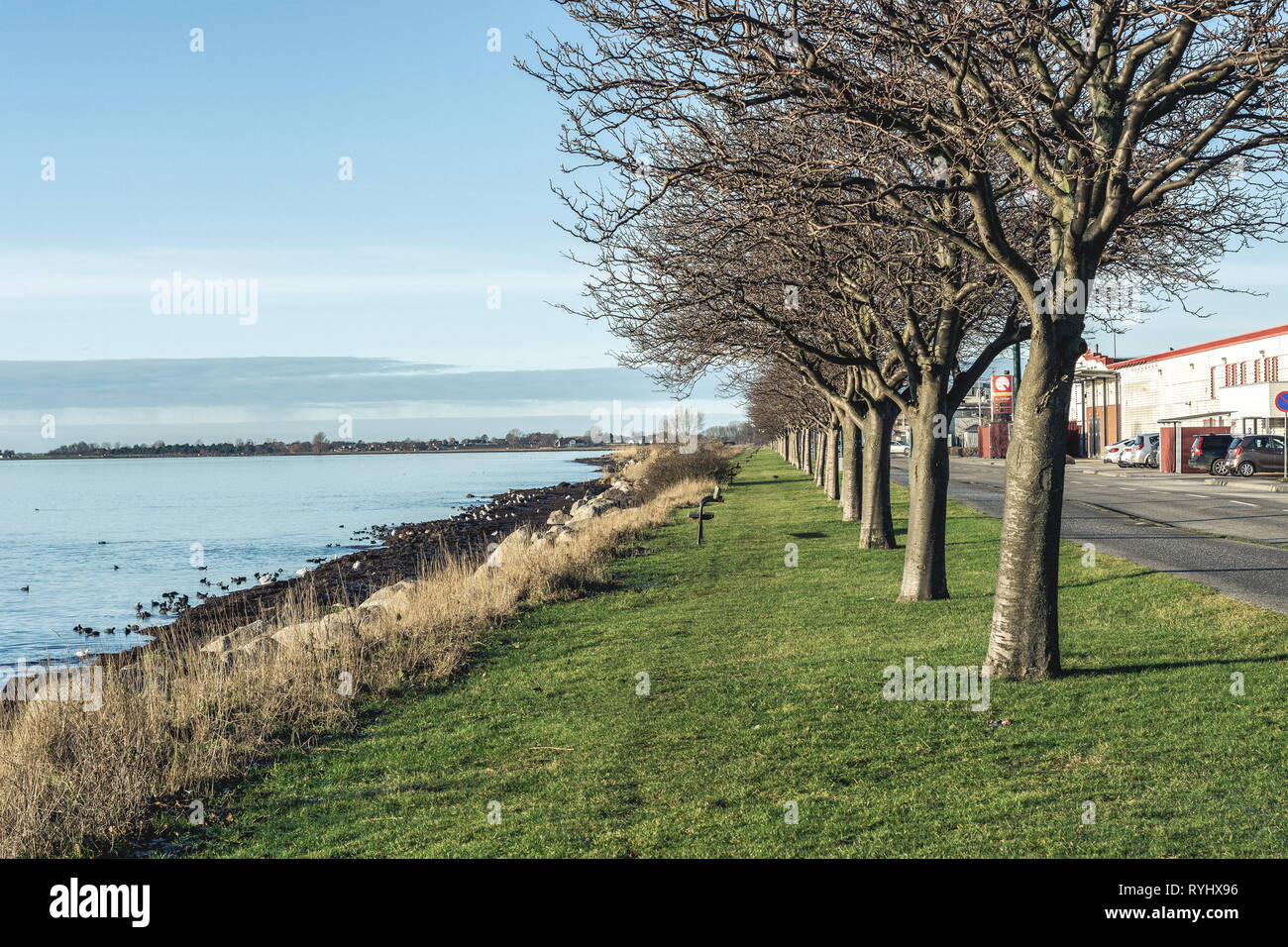 promenade with green grass and trees and blue sea Stock Photo - Alamy