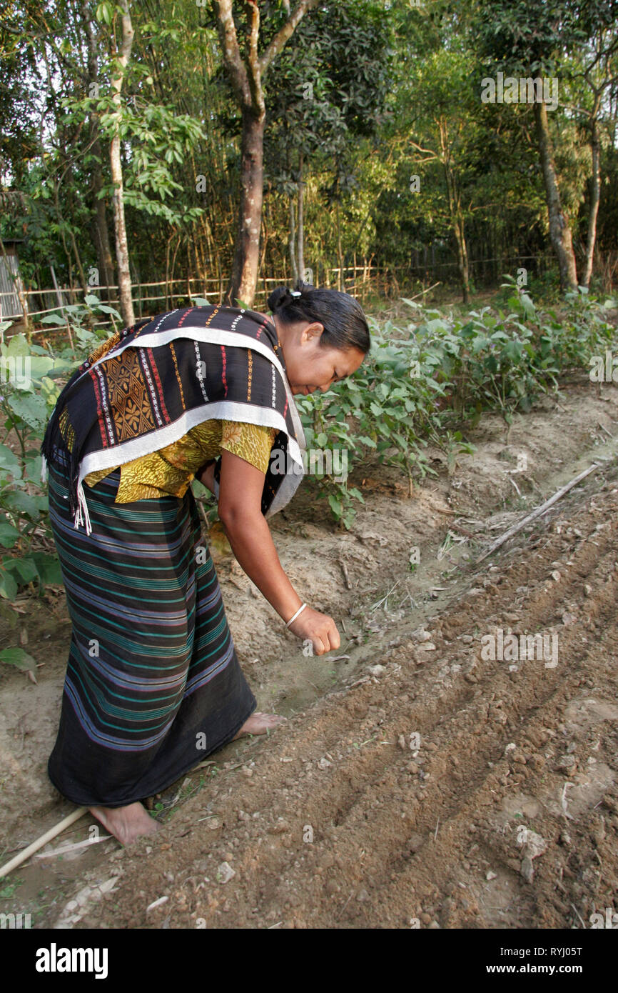 BANGLADESH Woman of the Garo tribal minority planting vegetable seeds ...