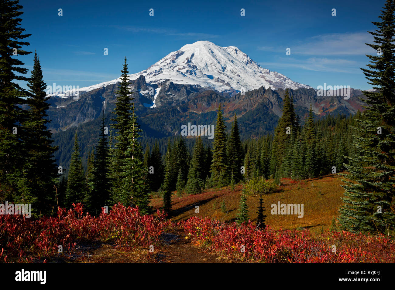 Mount rainier national park fall hi-res stock photography and images ...