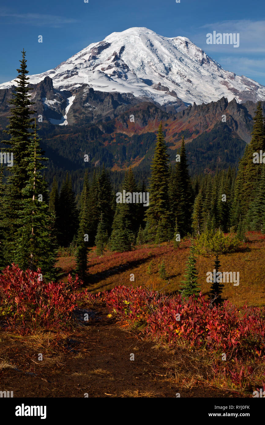 WA15939-00...WASHINGTON - Fall color along the Naches Peak Loop in ...