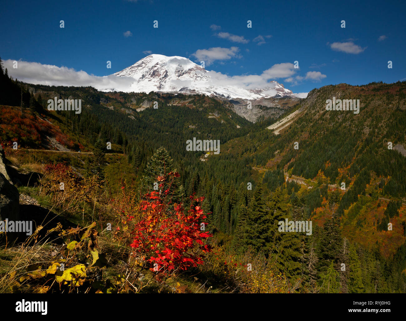 Stevens canyon bend viewpoint hi-res stock photography and images - Alamy