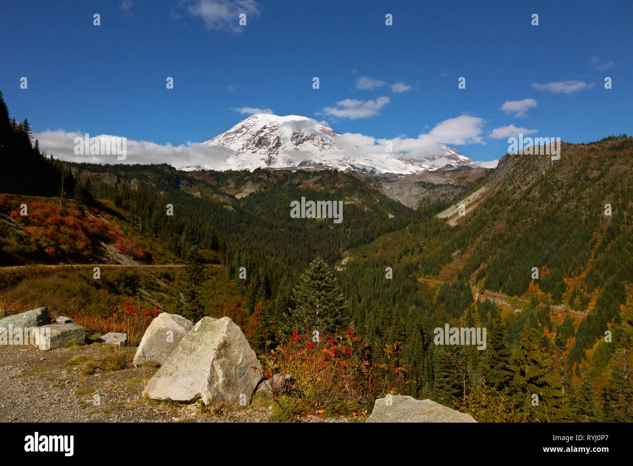 WA15946-00...WASHINGTON - Fall color in Stevens Canyon from Stevens ...