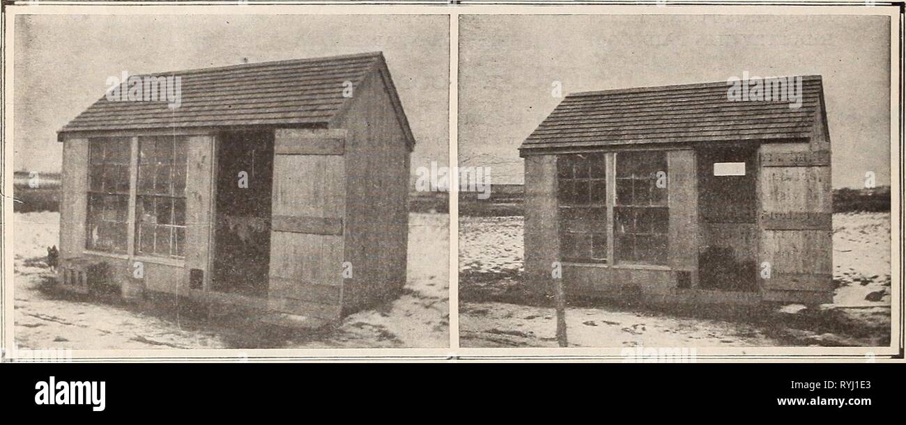 Eggs and egg farms Stock Photo - Alamy