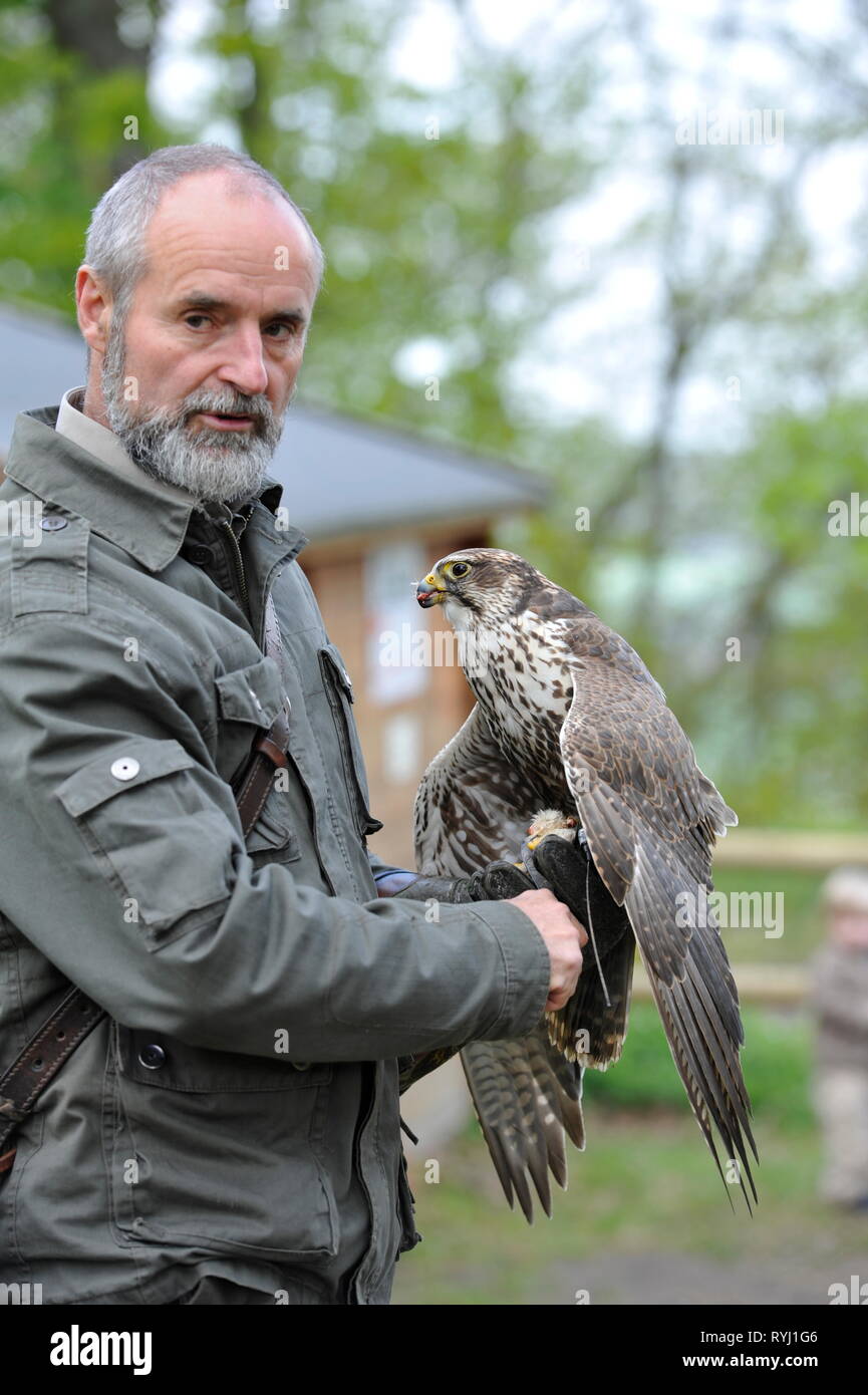 Hof hintergrund hi-res stock photography and images - Alamy