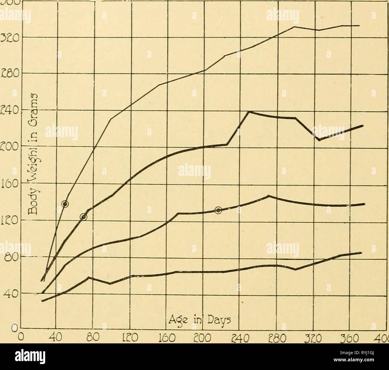 The effects of inanition and Stock Photo - Alamy