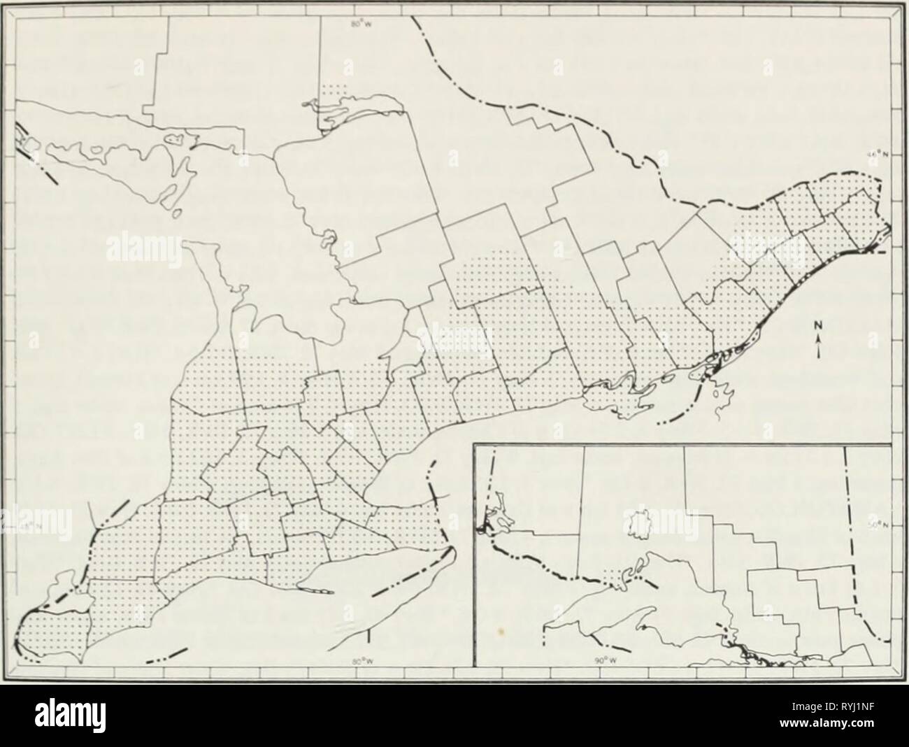 The earthworms (lumbricidae and sparganophilidae Stock Photo - Alamy