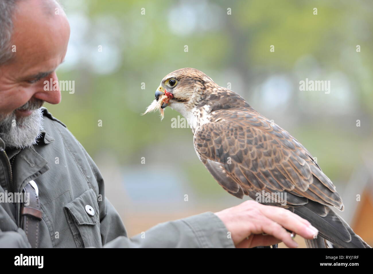 Hof hintergrund hi-res stock photography and images - Alamy