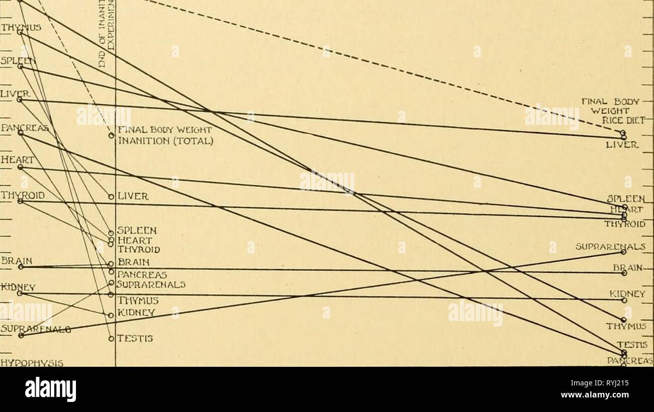 The effects of inanition and Stock Photo - Alamy