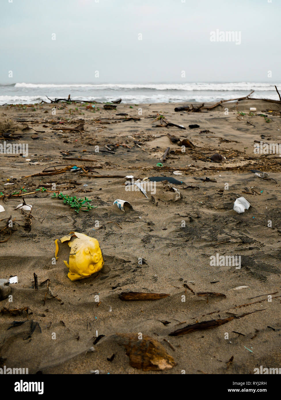 a broken yellow plastic piggy bank trash on a beach in the caribbean ...