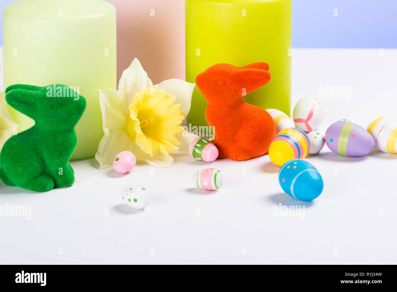 Easter bunnies and daffodils Stock Photo - Alamy