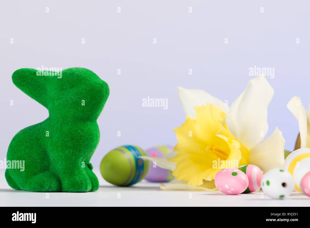 Easter bunnies and daffodils Stock Photo - Alamy