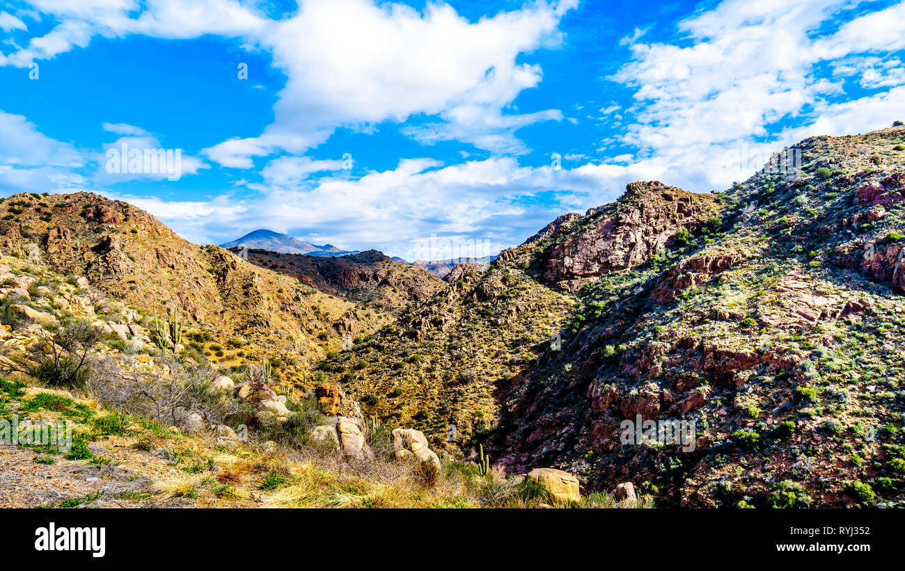 The rugged mountains of the McDowell Mountain Range viewed from Arizona ...