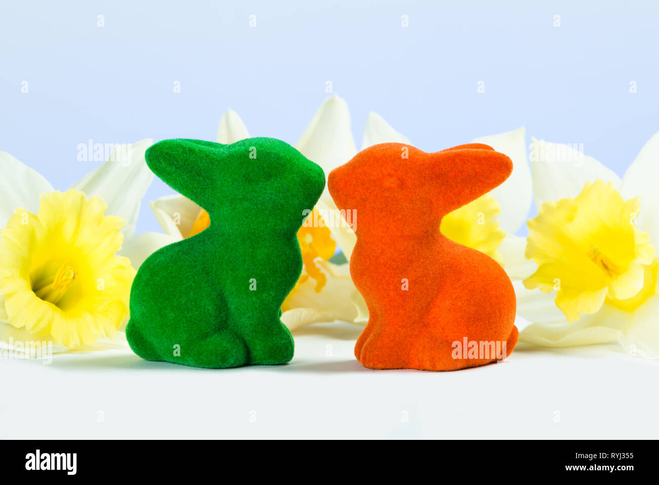 Easter bunnies and daffodils Stock Photo - Alamy
