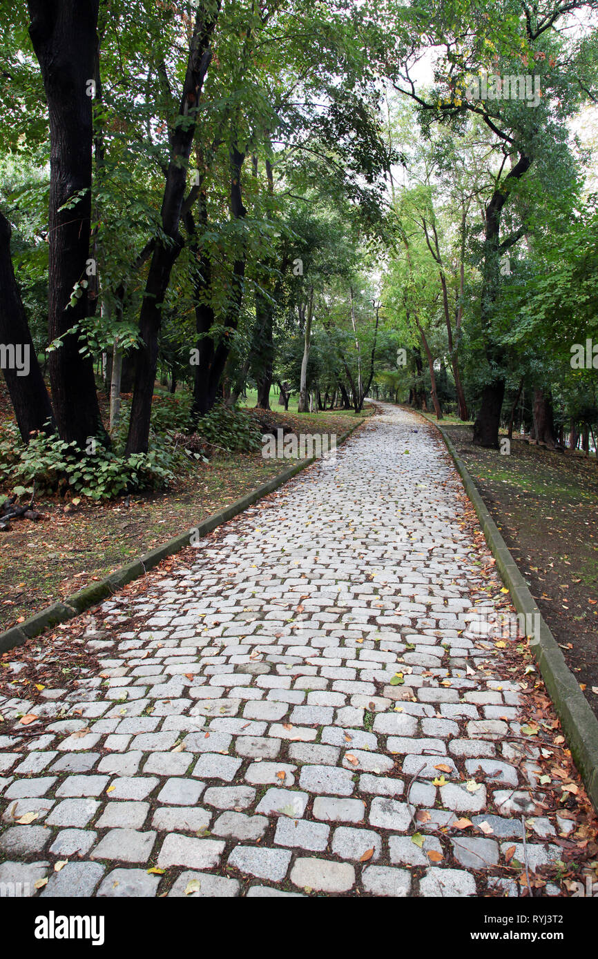 Stone pathway at the city park Stock Photo - Alamy