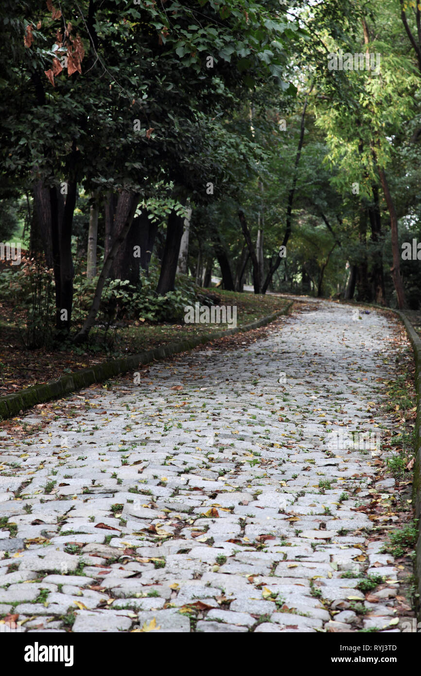 Stone pathway at the city park Stock Photo - Alamy