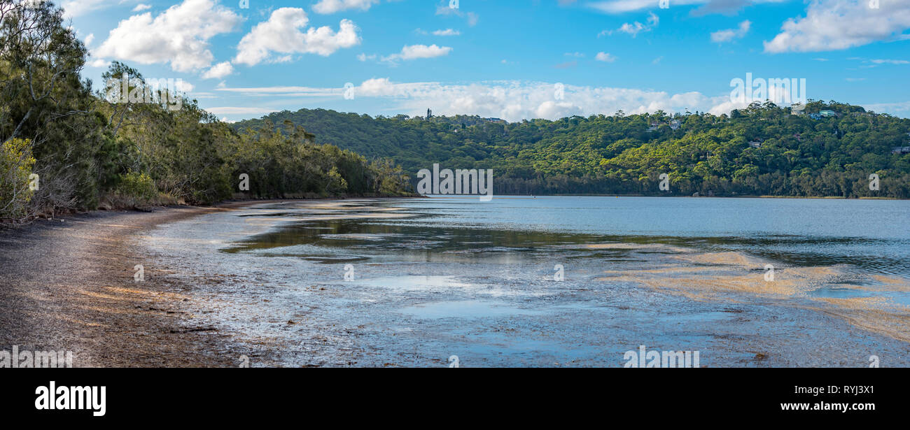 The north western shore of Narrabeen lagoon on the northern beaches of ...