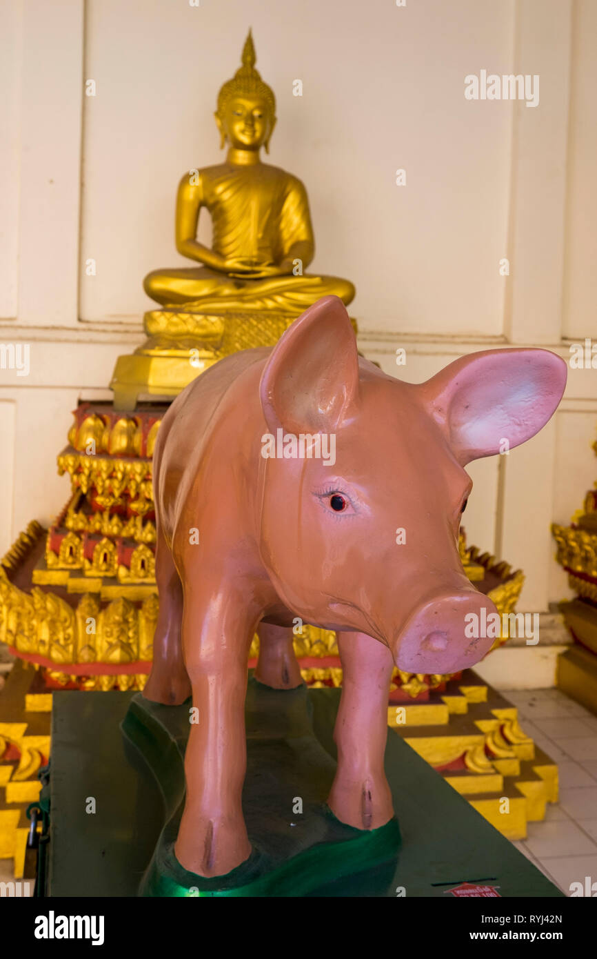Pig worship hi-res stock photography and images - Alamy