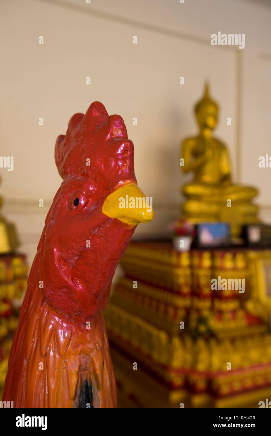 A chicken, one of the devotional prayer animals at Wat Klang in Khon ...