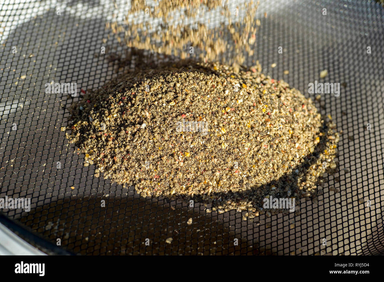 Sieving fishing bait through a sieve to prepare a homogeneous mass to ...