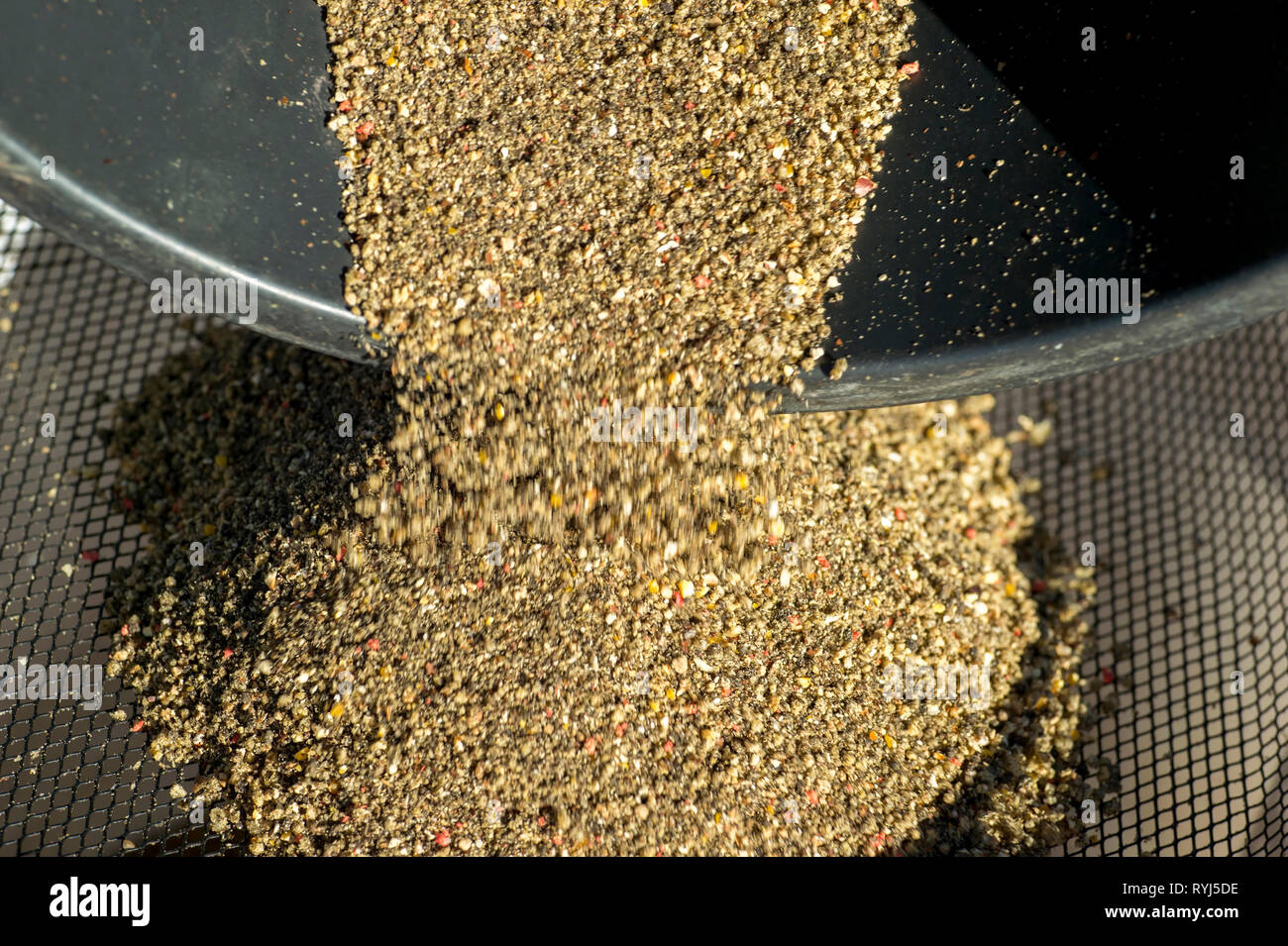 Sieving fishing bait through a sieve to prepare a homogeneous mass to ...