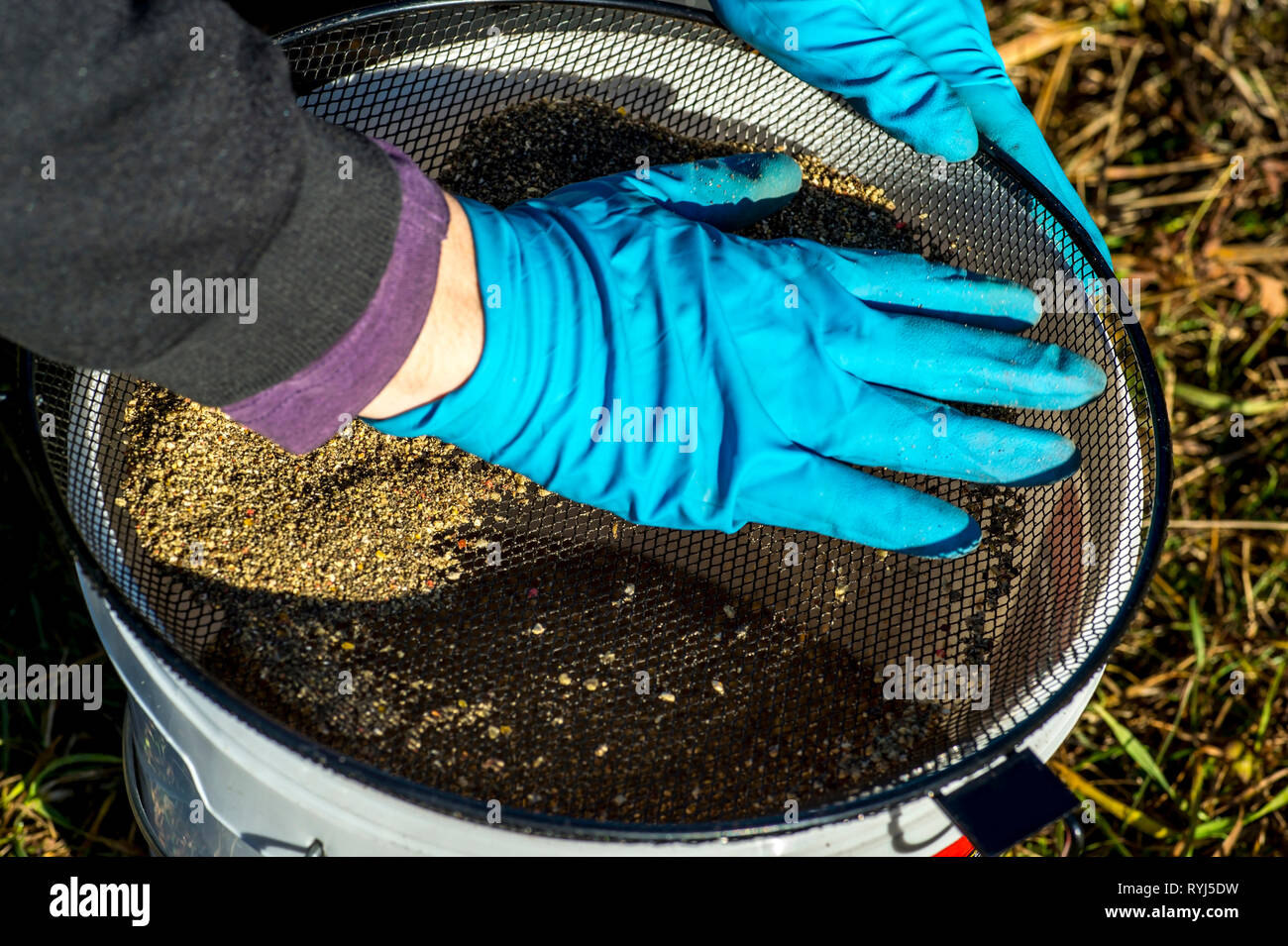 Fish biting bait hi-res stock photography and images - Alamy