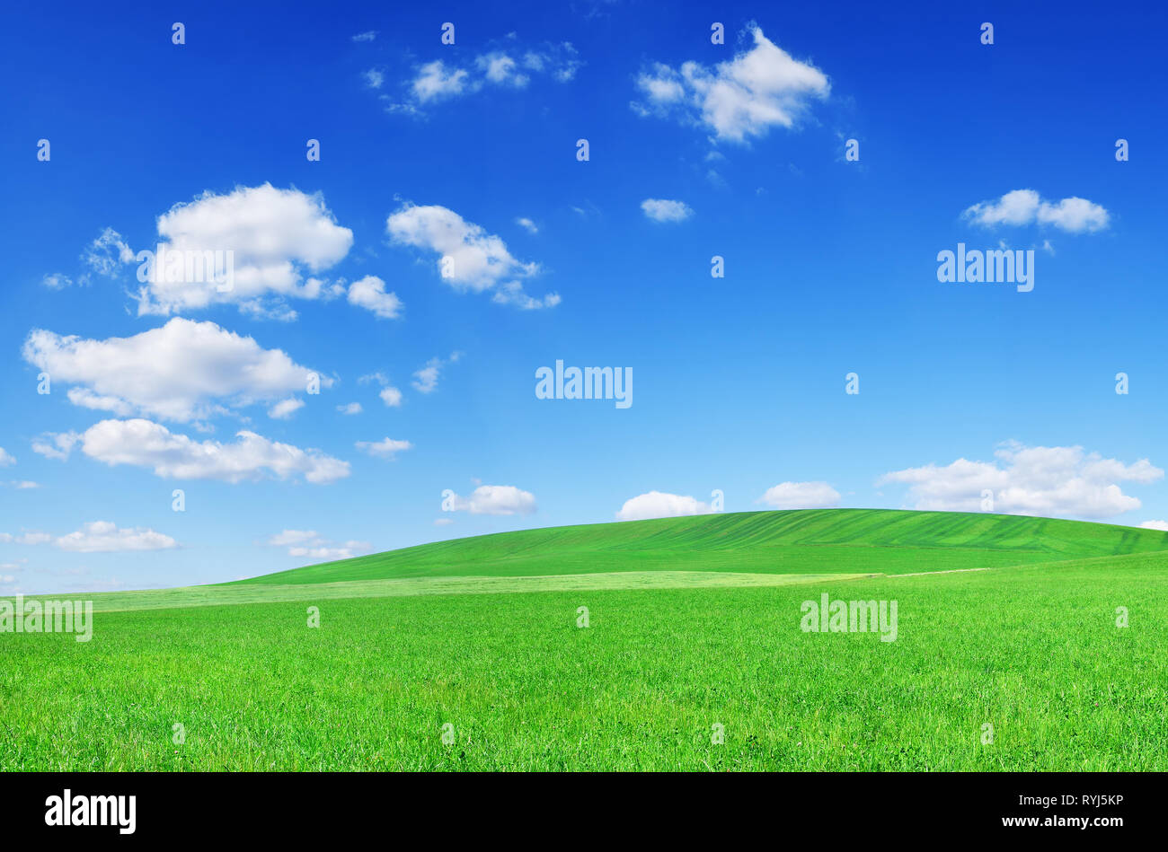Idyllic grassland, spring landscape, rolling green fields, blue sky and ...