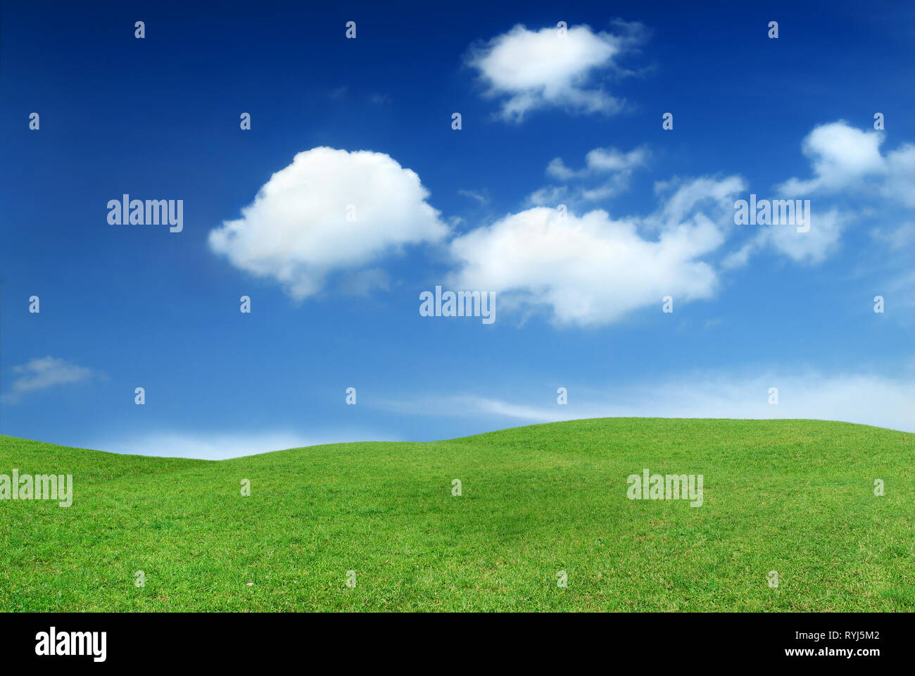 Idyllic landscape, green field, blue sky and white clouds Stock Photo ...