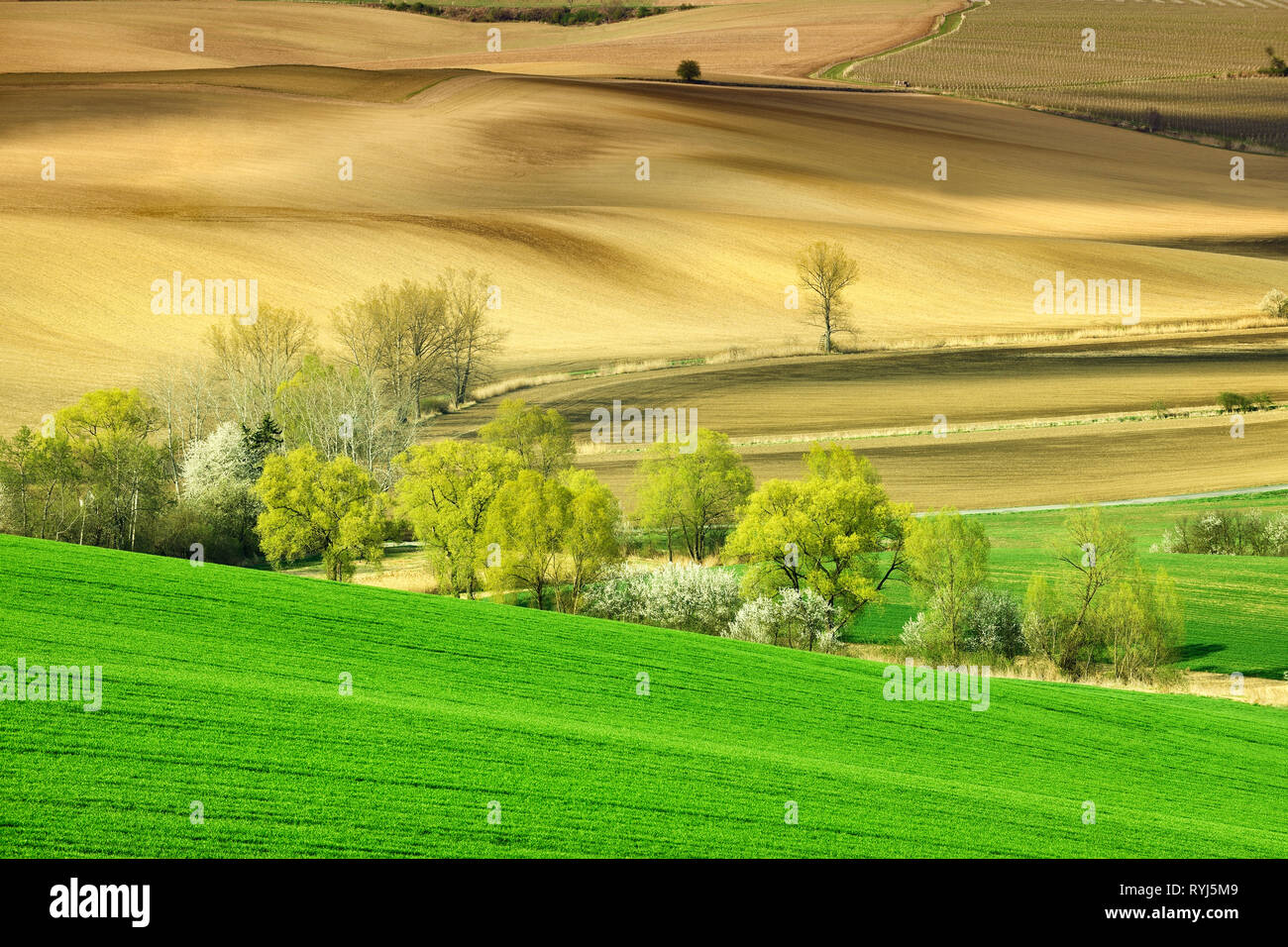 Italian beautiful landscape, green and brown fields of Tuscany in ...