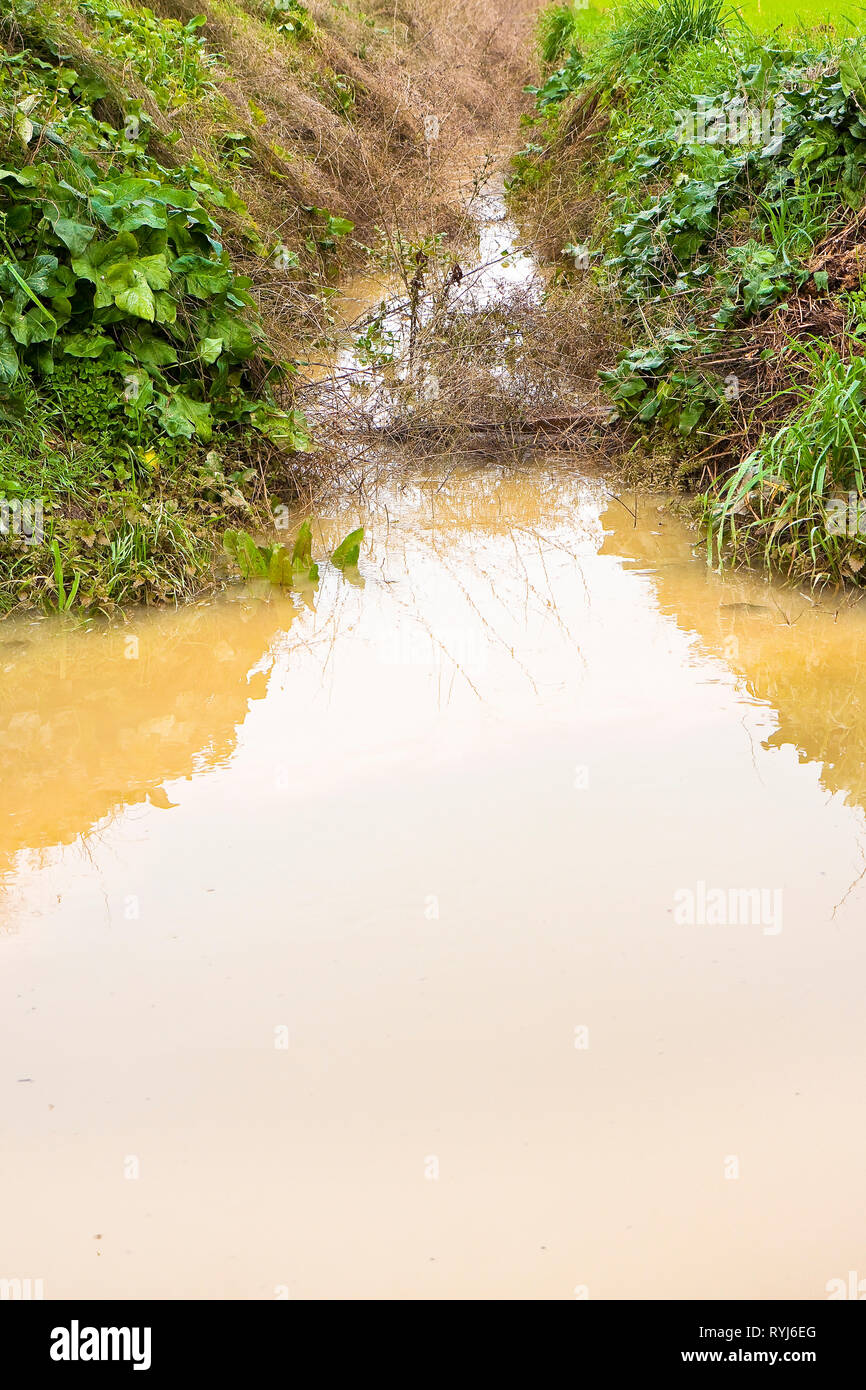 Full water ditch in hi-res stock photography and images - Alamy