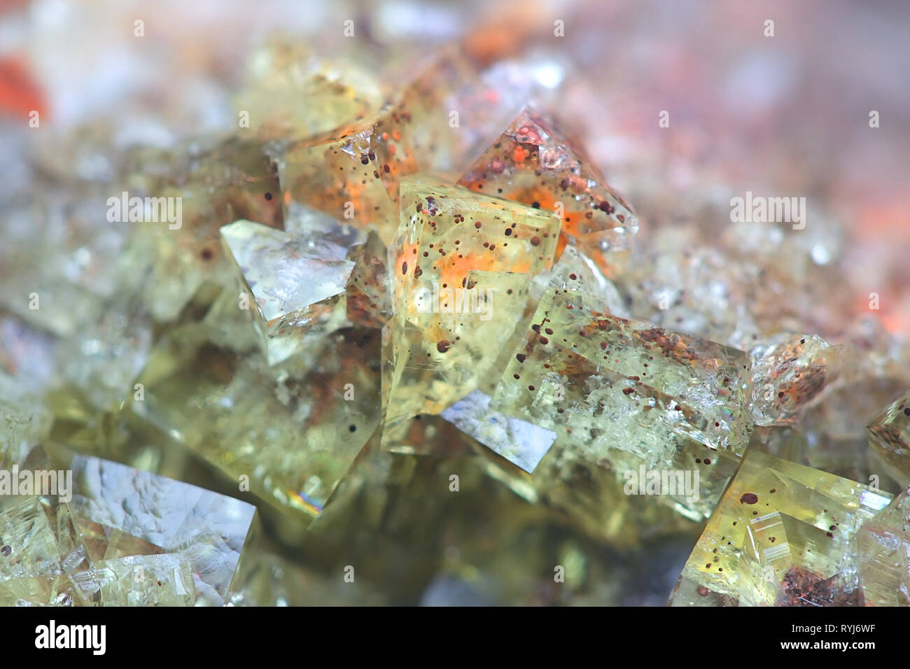 Crystals of fluorite with hematite inclusions from Illo calcite quarry ...