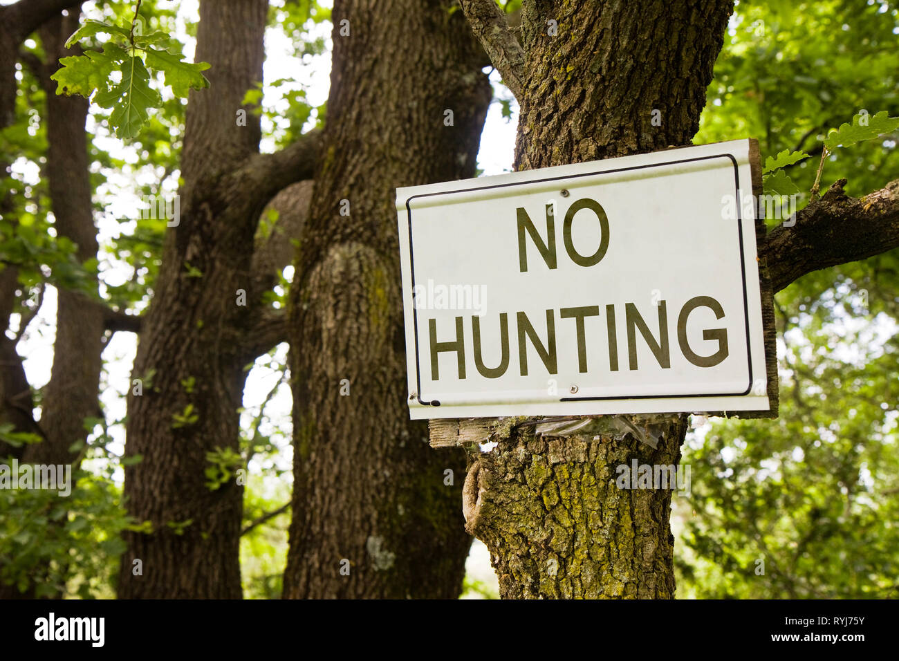 Sign indicating in the countryside Stock Photo - Alamy