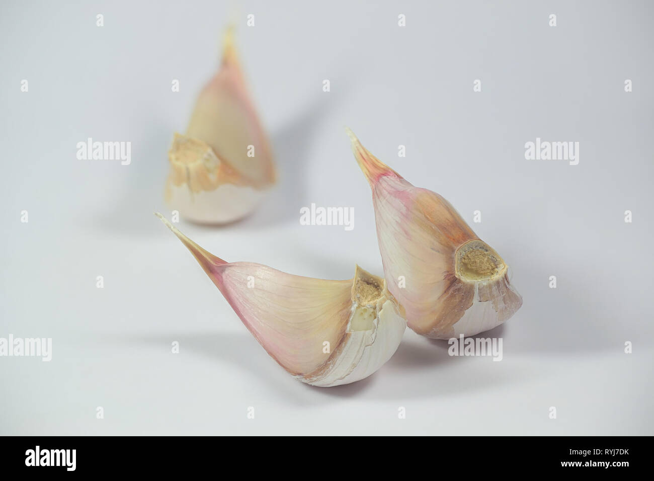 Garlic, both a food flavoring and as a traditional medicine Stock Photo ...