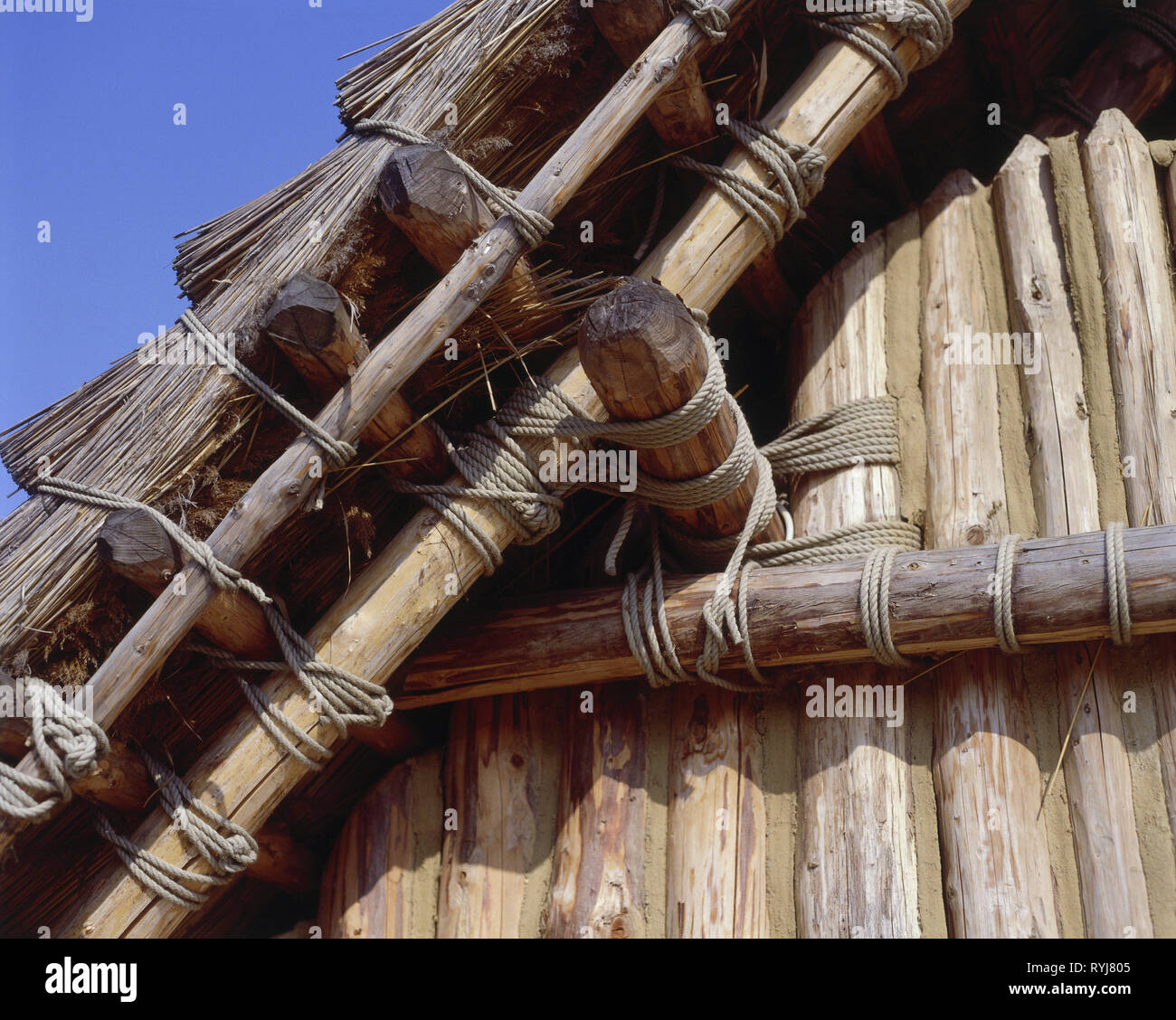 Neolithic reconstruction hi-res stock photography and images - Alamy